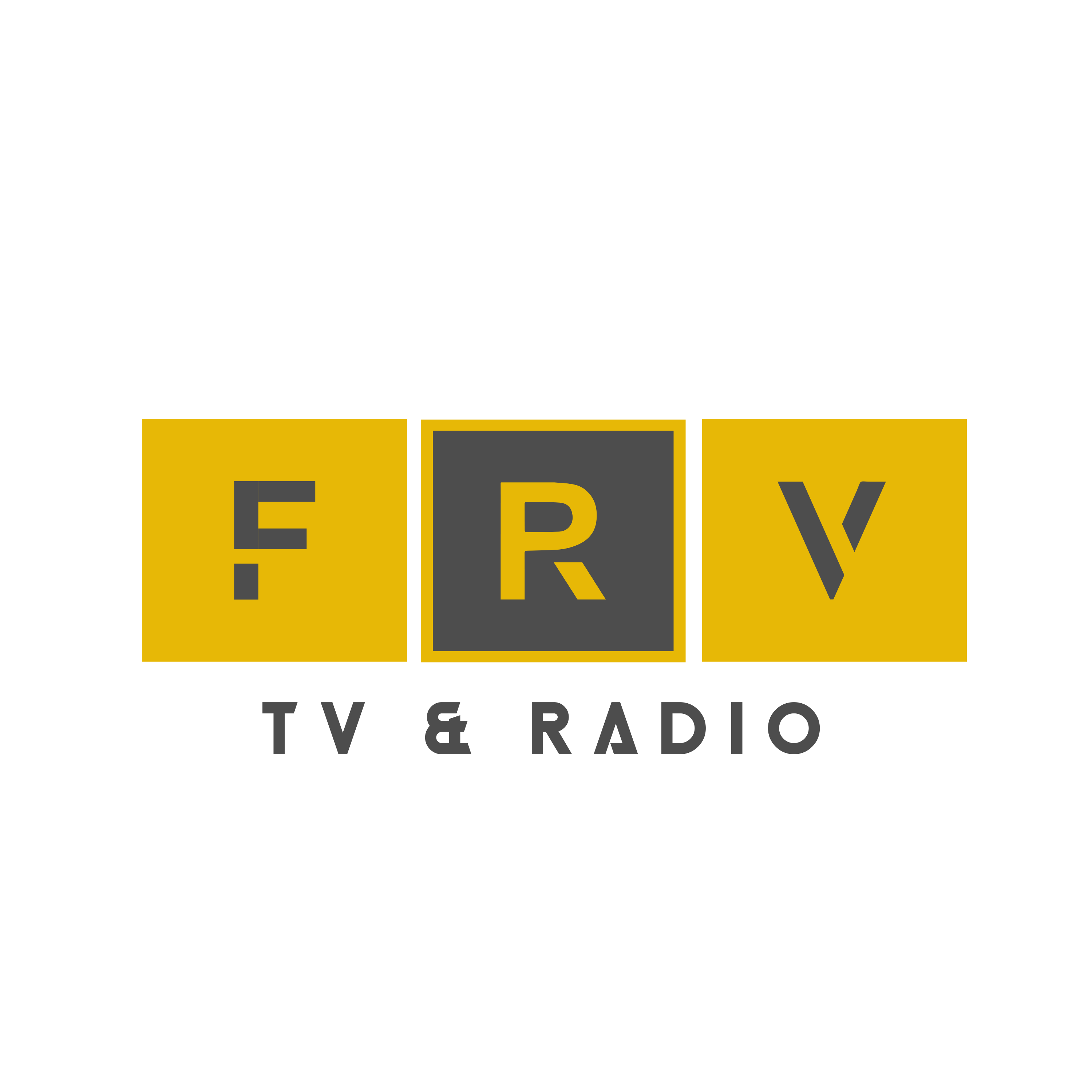 About FRV • ForthRealm Voix • Empowering Africa's Legacy Inclusively